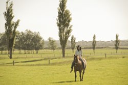 Rebecca Whyte : Ican Models, Queenstown, New Zealand