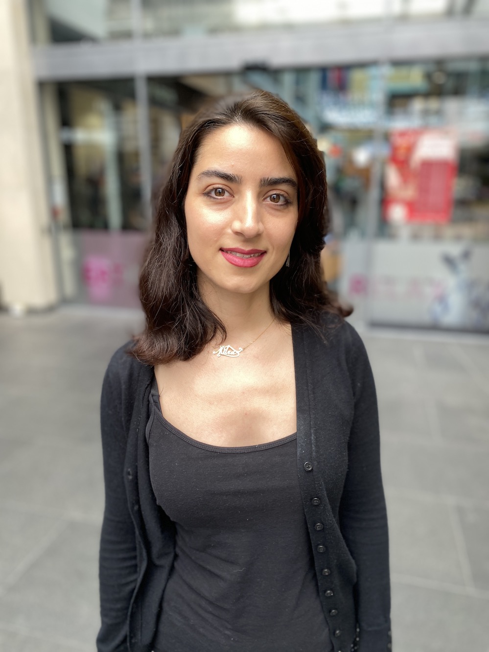 Mitra Darestani : Ican Team, Queenstown, New Zealand